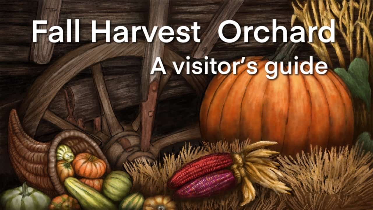 GT_Fall Harvest Orchards, Montrose, Minnesota_Geotagged. – Video Canvass